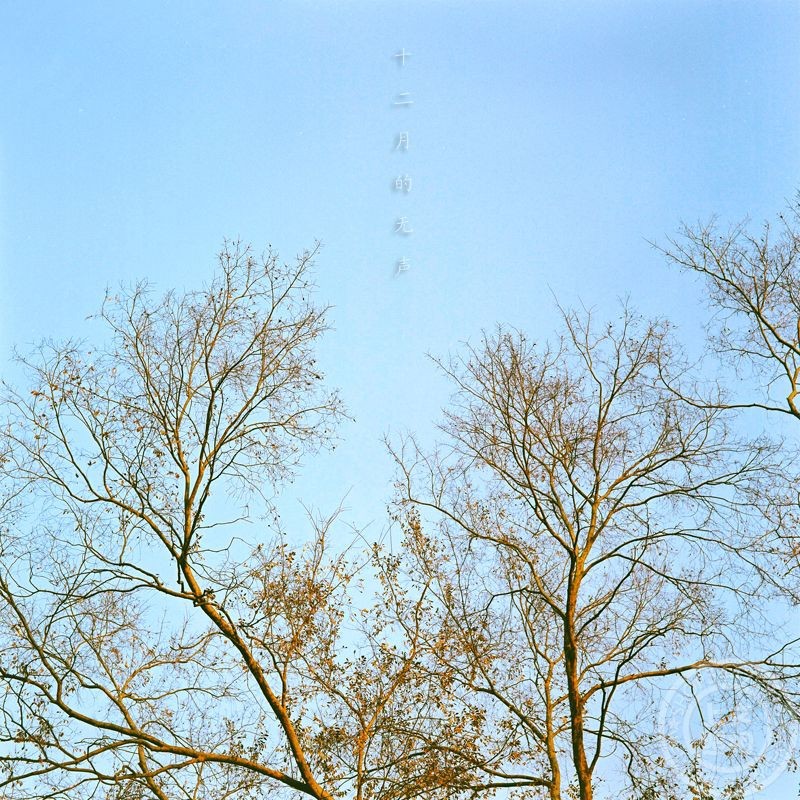 Купить Fujifilm pro 160 НС 120/12exp профессиональная пленка ...