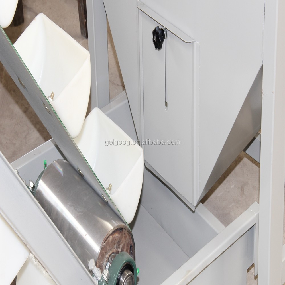 Peanut Sorting and Grading Machine - Efficient and Reliable