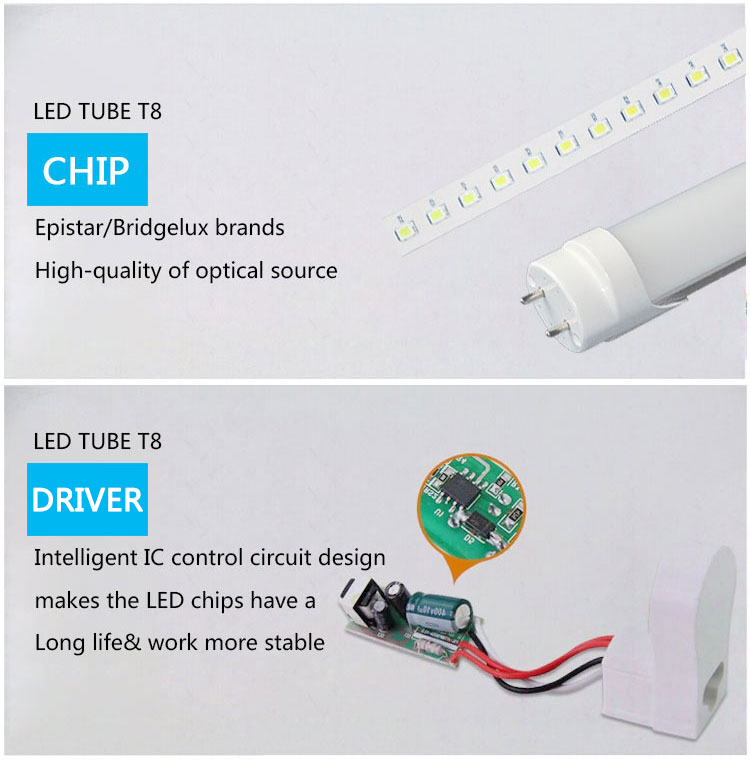 Isolated 18w 4ft 1200mm T8 Led Tube 16w T8 Red Tube Sex Led Vietnam