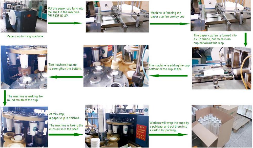 New Product On Sales Paper Cup Fan Raw Material For Paper Cup new-product-on-sales-paper-cup-fan-raw-material-for-paper-cup