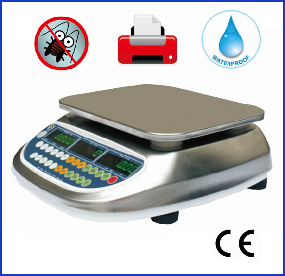 Acs 30 Electronic Scale Manual Acs System Calibration Electronic Scale